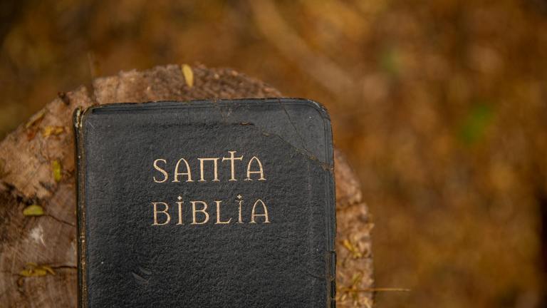 Biblespanish.com – Fall in love with Scripture all over again…